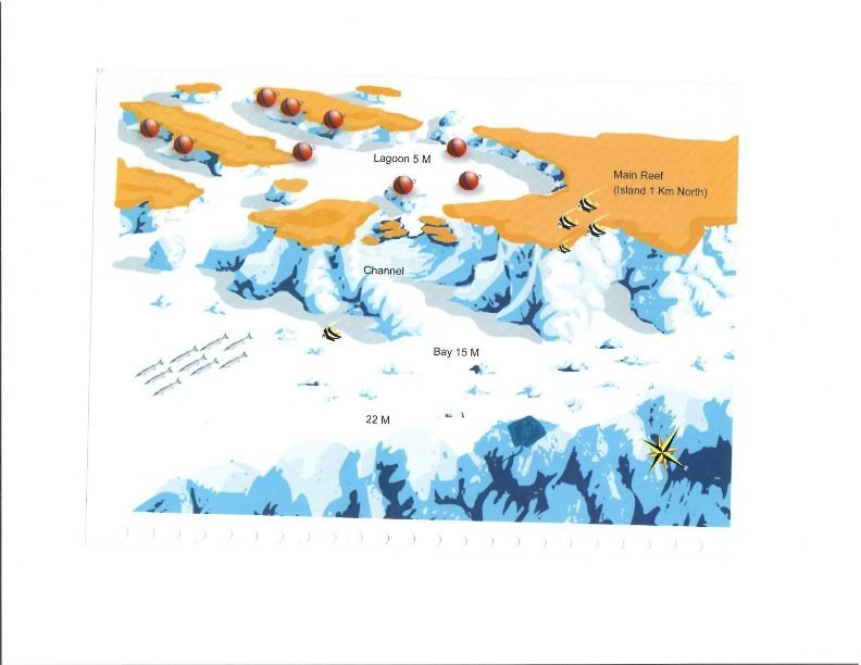 ABU HASHISH - Funnydivers Hurghada